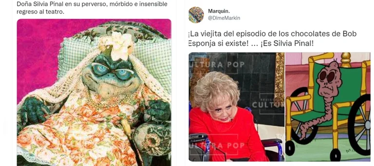 Con memes usuarios en redes sociales criticaron el regreso de Silvia ...
